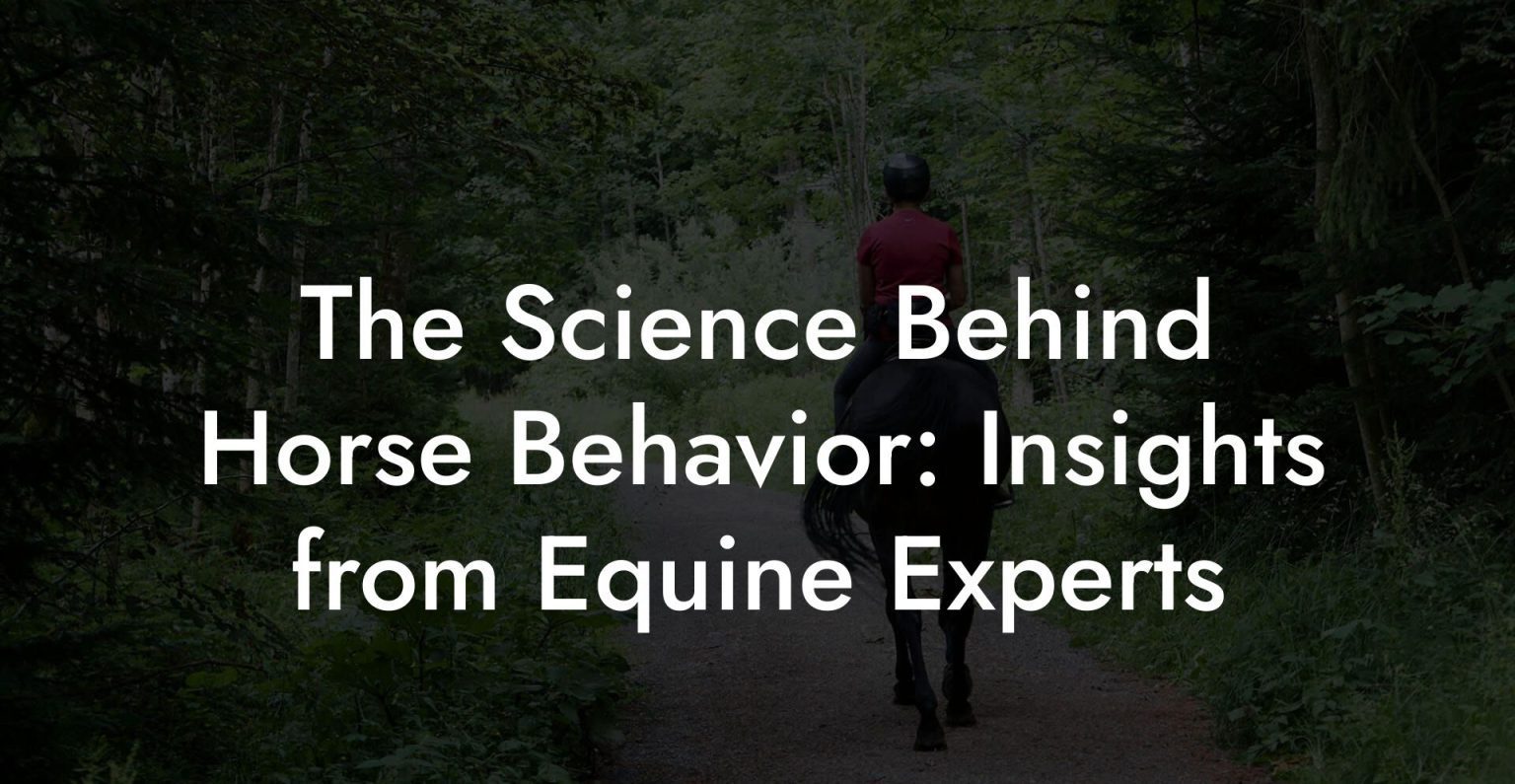 Understanding Equine Body Language: What Your Horse is Really Saying ...