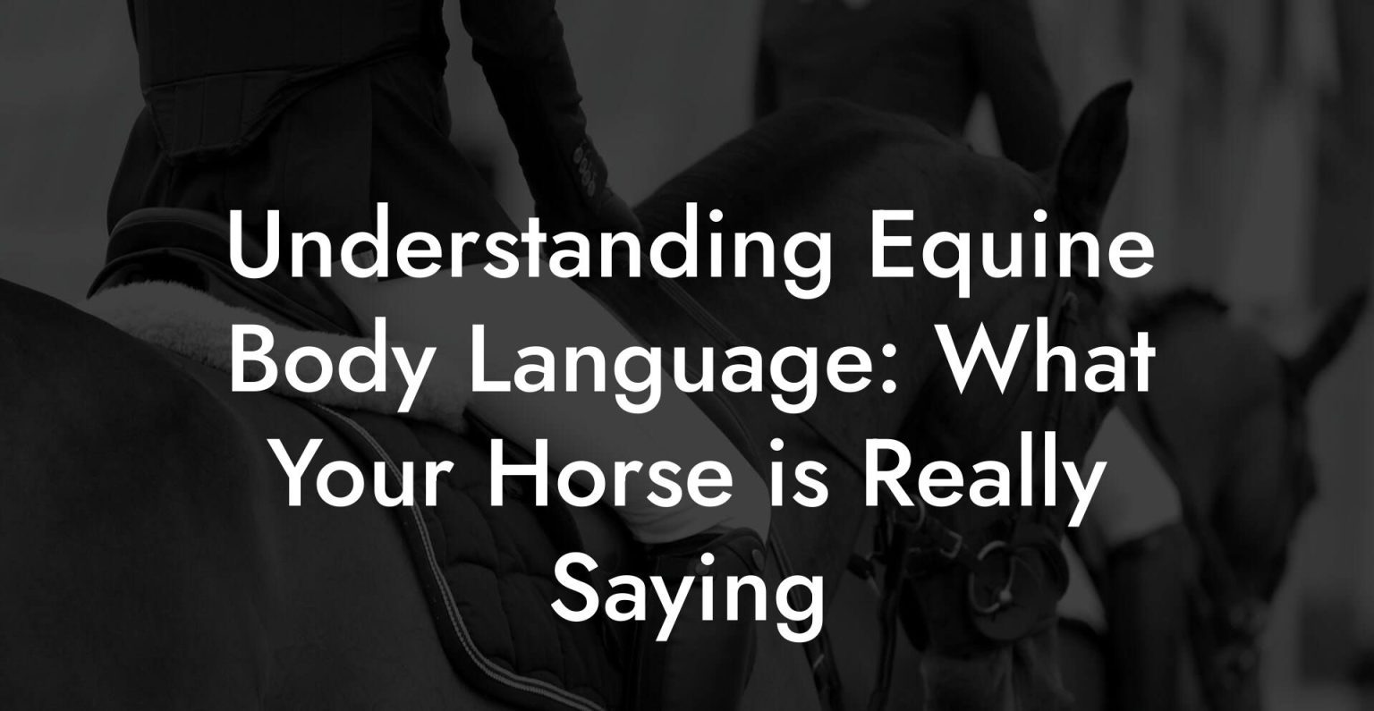 Understanding Equine Body Language: What Your Horse is Really Saying ...