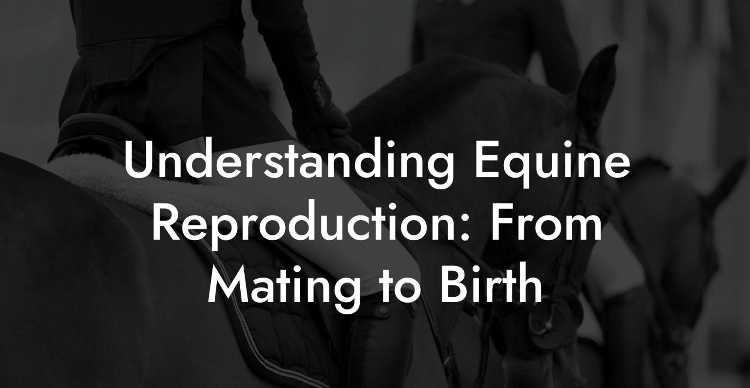 Understanding Equine Reproduction: From Mating to Birth - How To Own a Horse