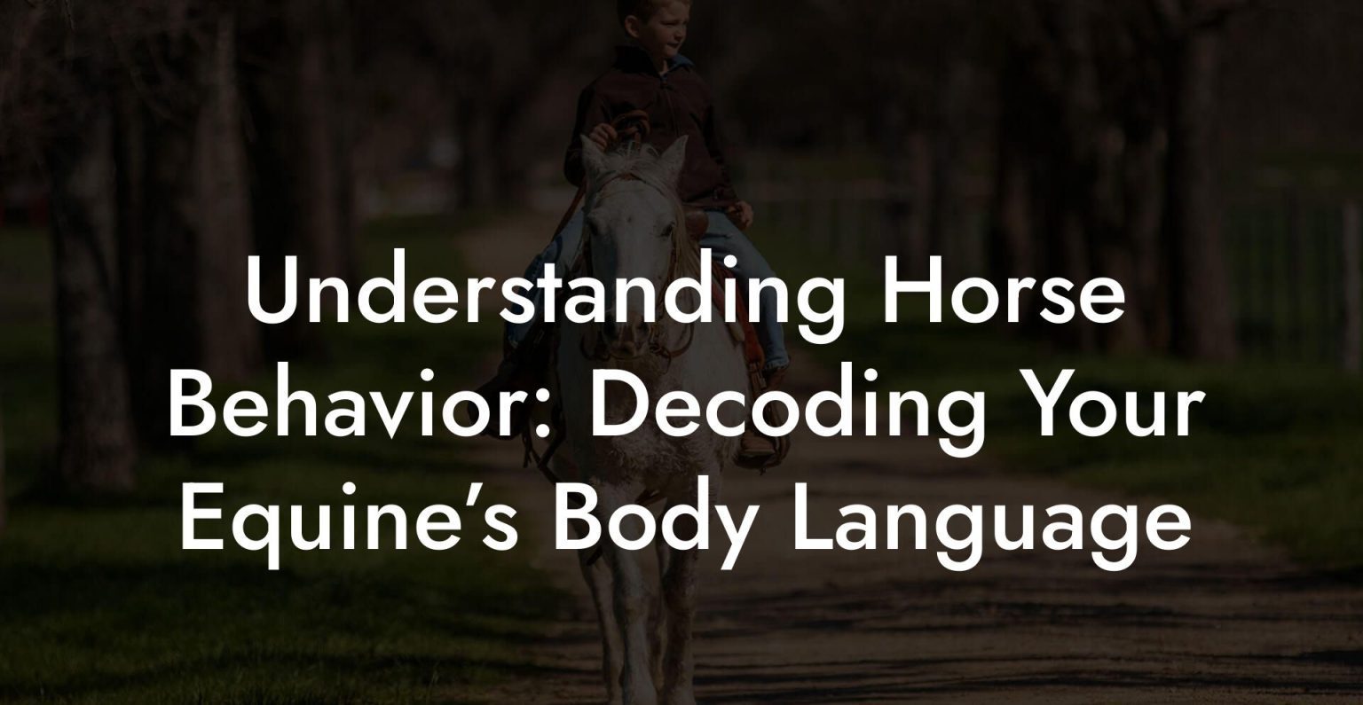 Understanding Horse Behavior: Decoding Your Equine’s Body Language ...