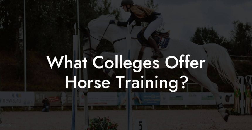The Complete Guide To Owning Horses - How To Own a Horse