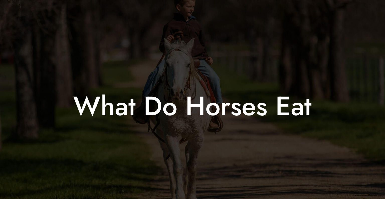 What Do Horses Eat - How To Own a Horse