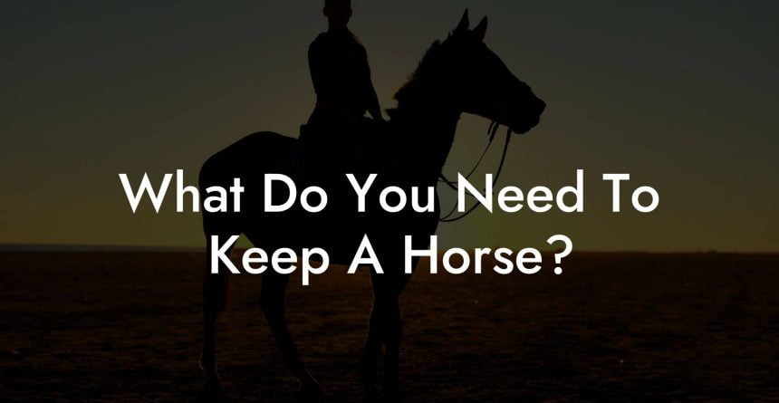 What Is A Horse Corral - How To Own a Horse