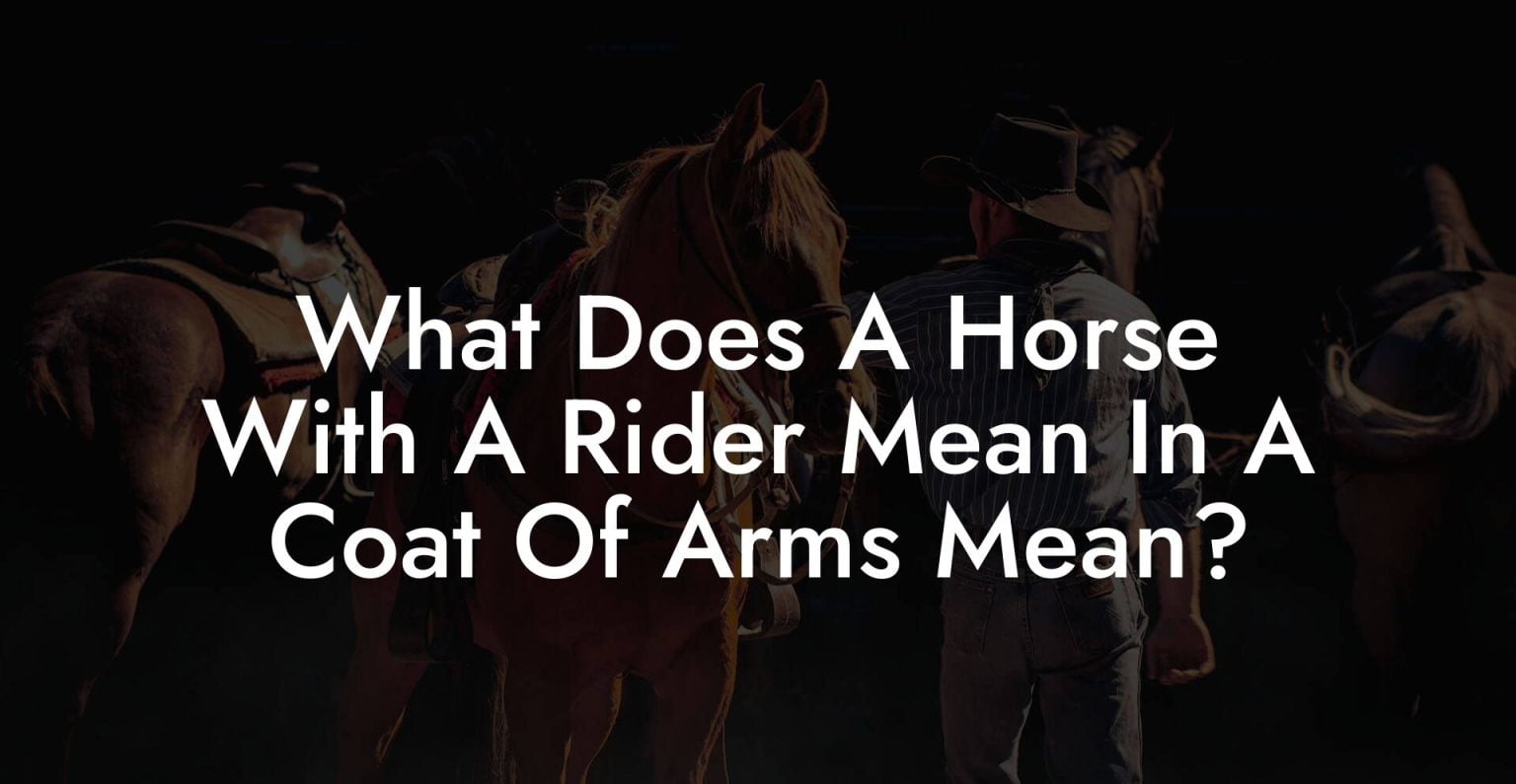 What Is A Horse Corral - How To Own a Horse