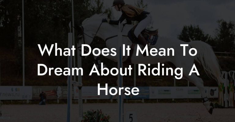 What Does It Mean To Dream About Riding A Horse - How To Own a Horse