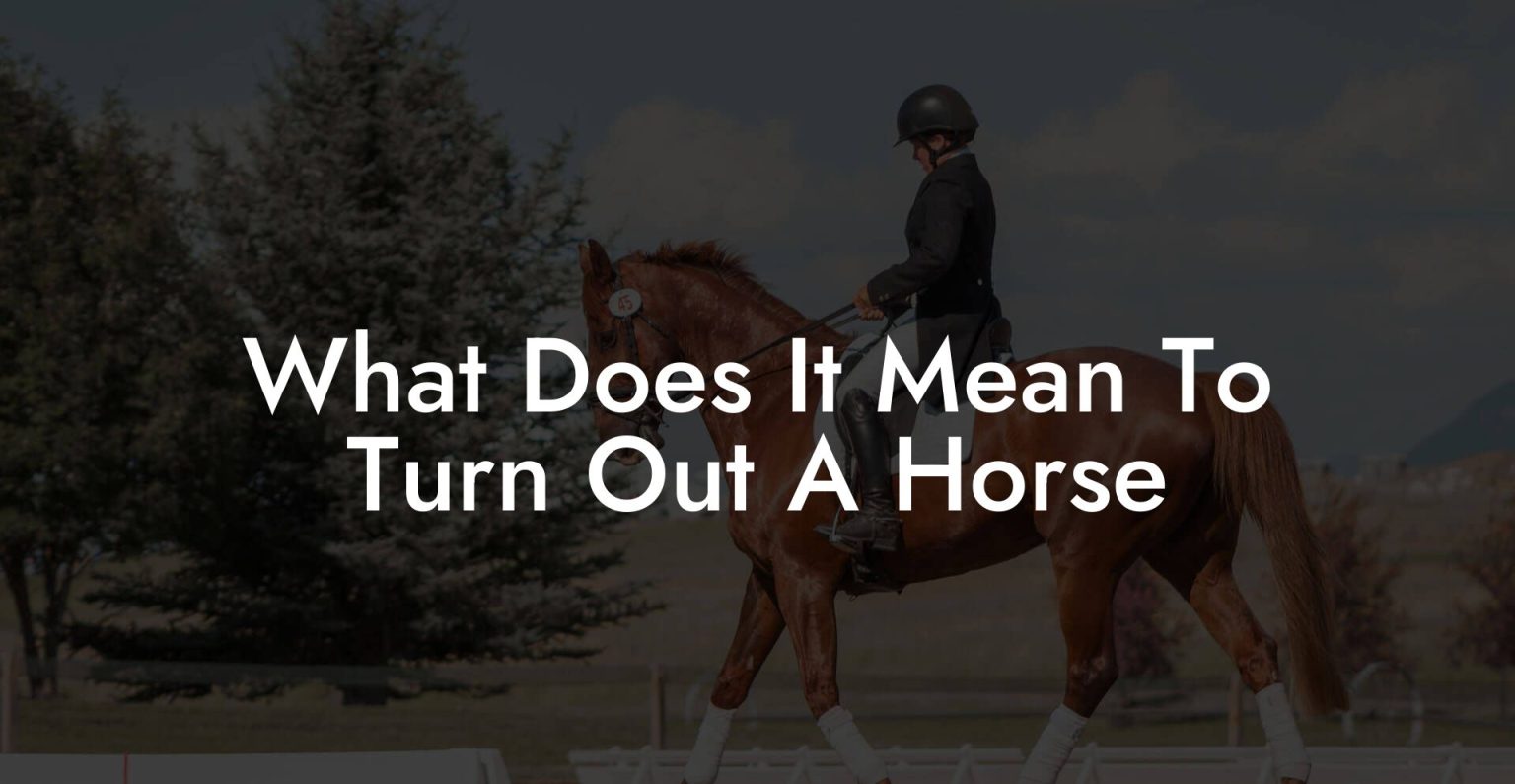 What Does It Mean To Turn Out A Horse - How To Own a Horse