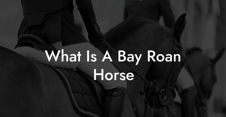 What Is A Bay Roan Horse - How To Own a Horse
