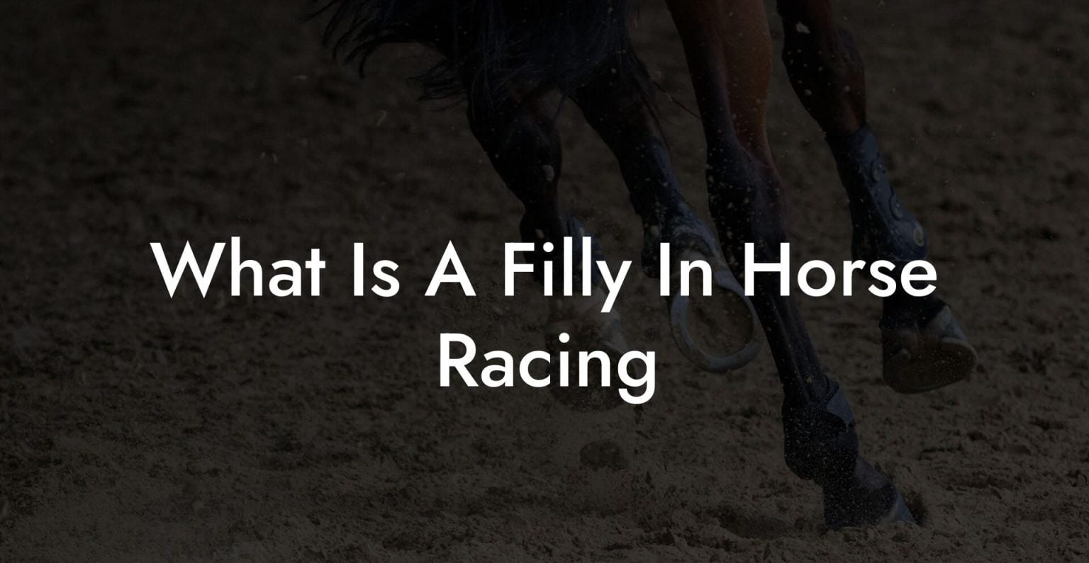 How Many Tons Of Hay Per Horse Per Year - How To Own a Horse