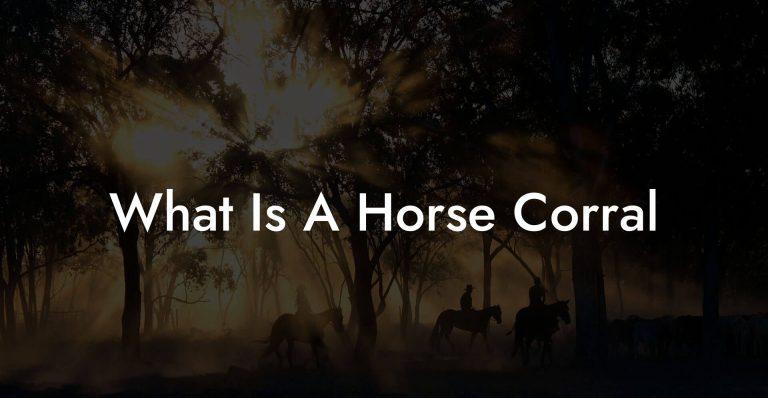What Is A Horse Corral - How To Own a Horse