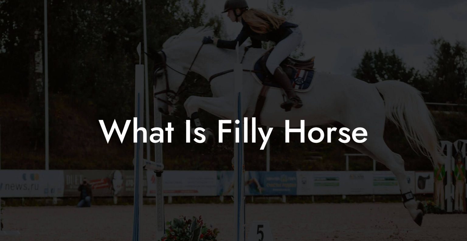 What Is Filly Horse - How To Own a Horse