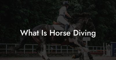 What Is Horse Diving - How To Own a Horse