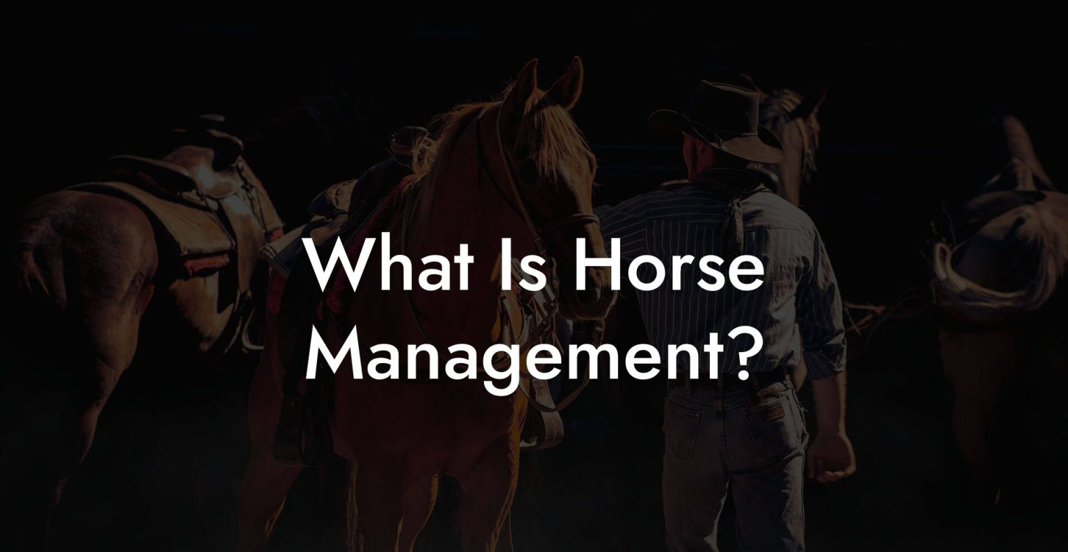 The Complete Guide To Owning Horses - How To Own a Horse
