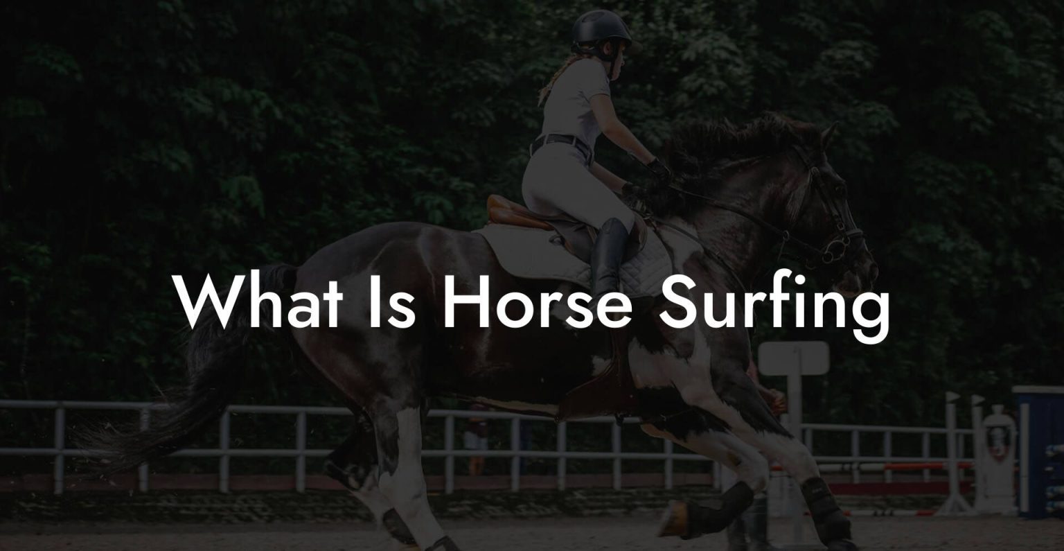 Horse Terminology For Dummies - How To Own a Horse