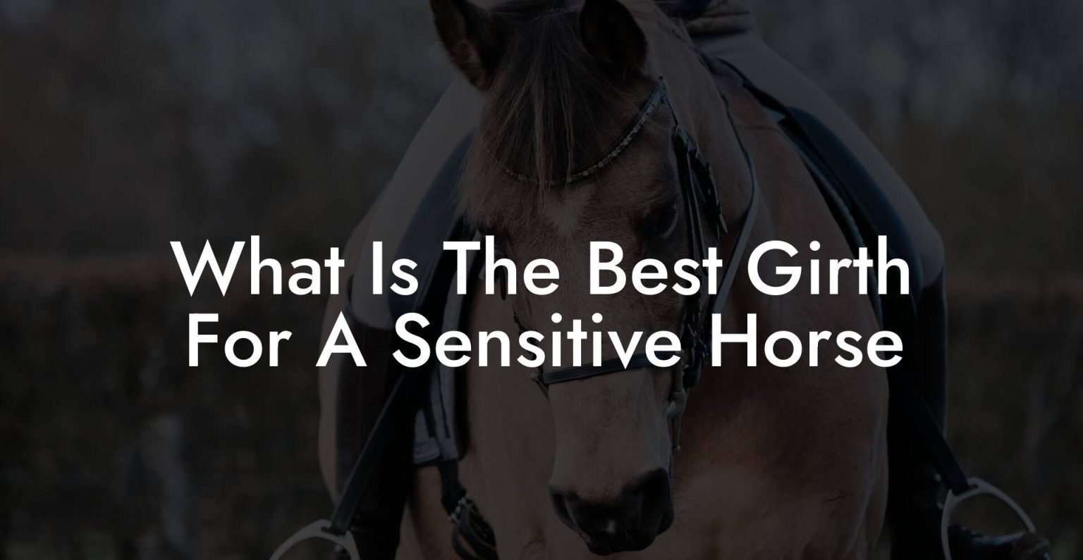 What Is The Best Girth For A Sensitive Horse - How To Own a Horse
