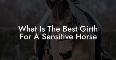 What Is The Best Girth For A Sensitive Horse - How To Own a Horse