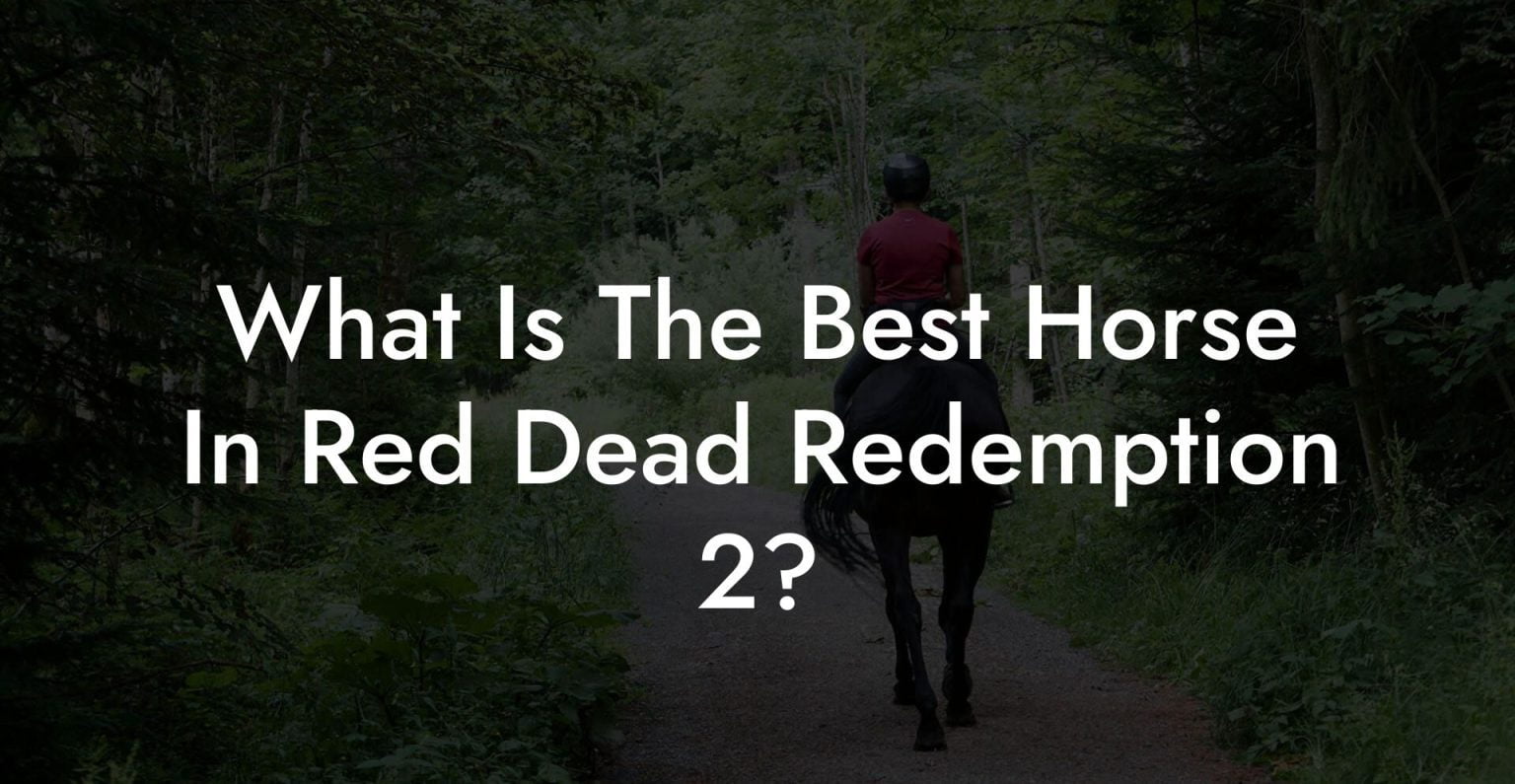 What Is A Horse Corral - How To Own a Horse