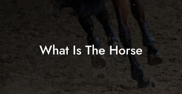 How To Lope A Horse - How To Own a Horse