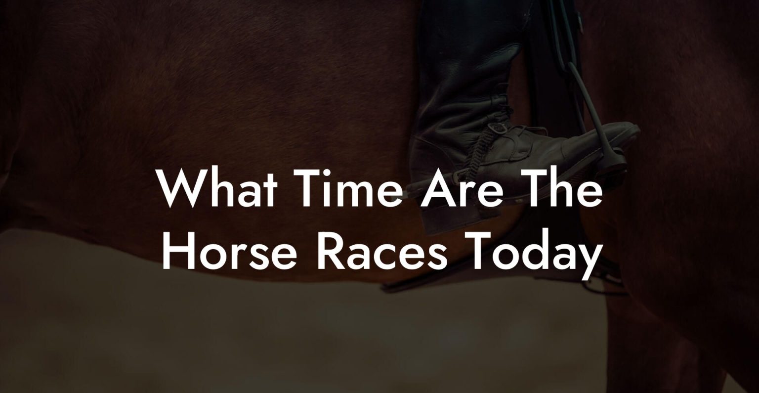 What Is A Horse Corral - How To Own a Horse