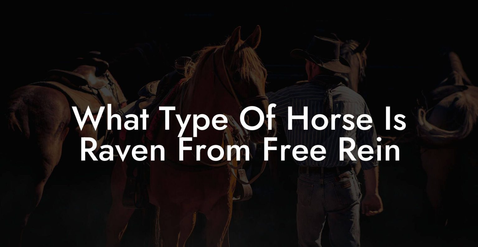What Type Of Horse Is Raven From Free Rein - How To Own a Horse