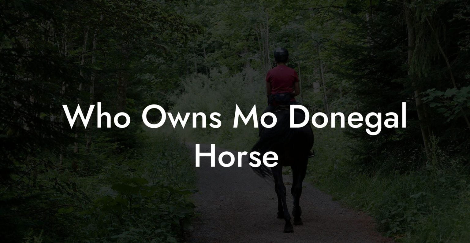 What Type Of Horse Is Raven From Free Rein - How To Own a Horse