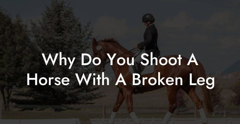 How To Break A Horse To Ride - How To Own a Horse